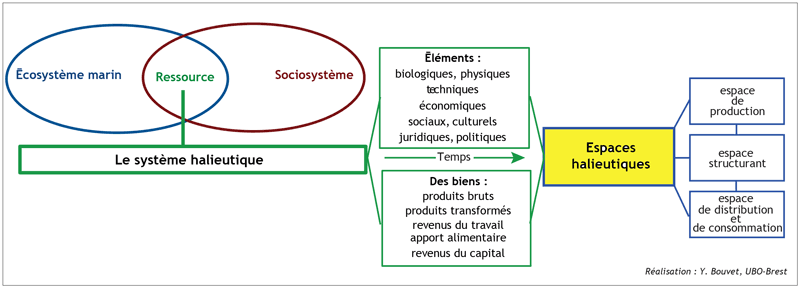 De la mer à l’assiette : présentation de la filière halieutique dans le ...